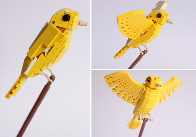 Забавные Lego-пернатые учатся летать! Необычная стая тропических птиц ...